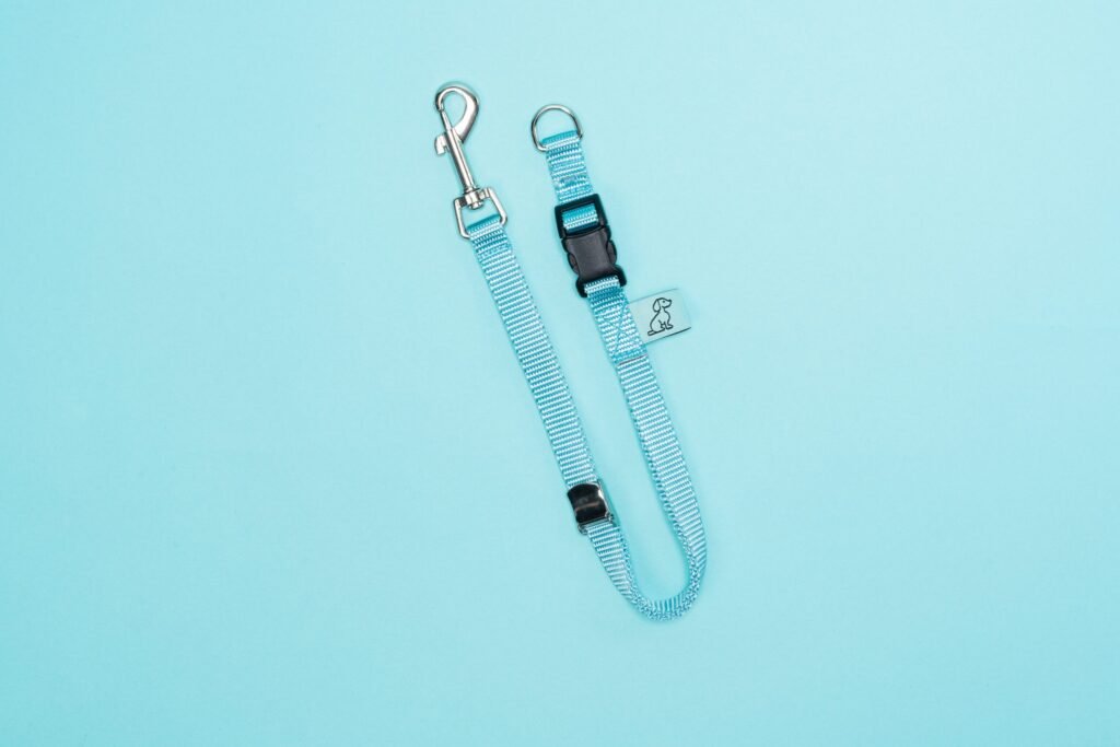 Dog Noose Tether – Baby Blue – Hound & Soul