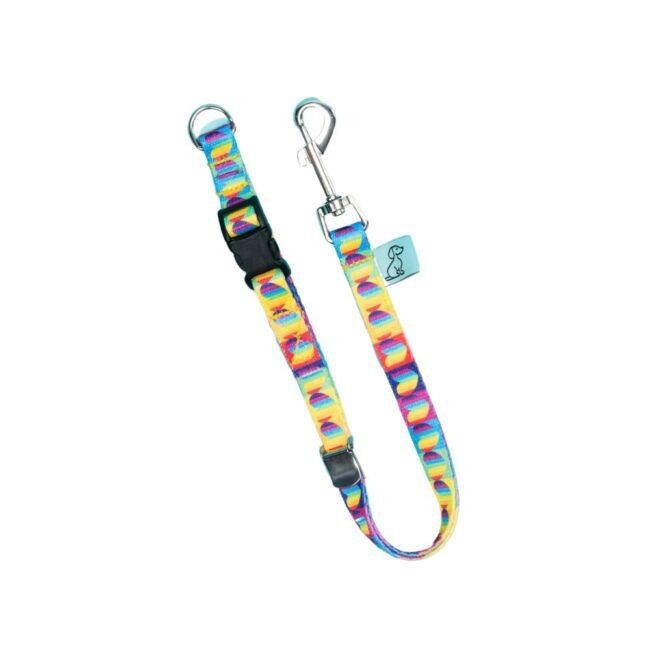 Dog Noose Tether - Baby Blue - Hound & Soul