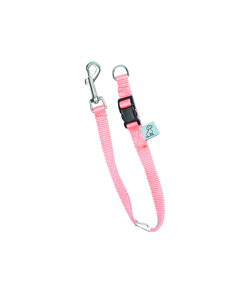 Adjustable Dog Noose Tether – Hound & Soul